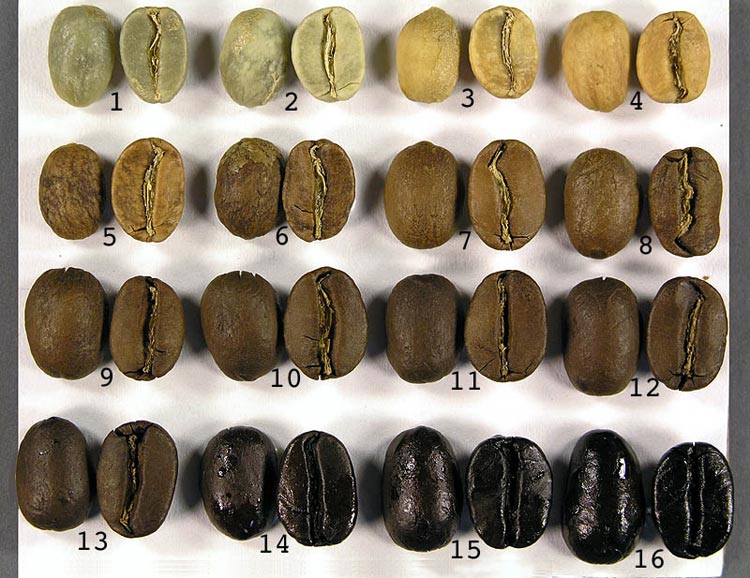 How Many Scoops of Coffee Per Cup? Your Guide to Perfect Brewing ...